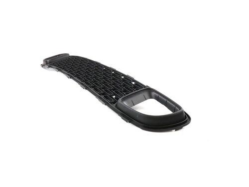(51117289990) MINI Grille -Lower | Designer Beema